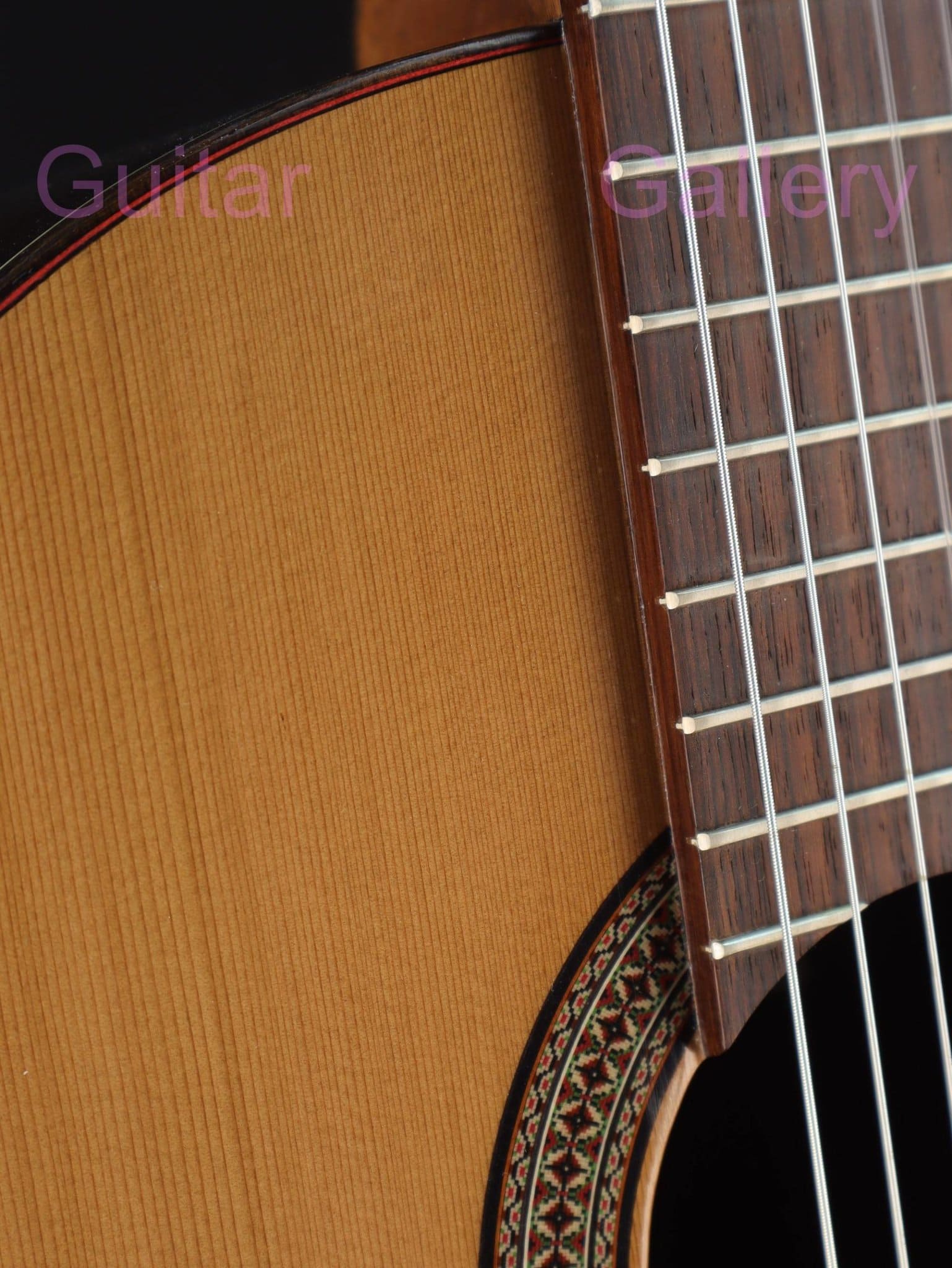 Altamira N300 Guitar Range | Guitar Gallery