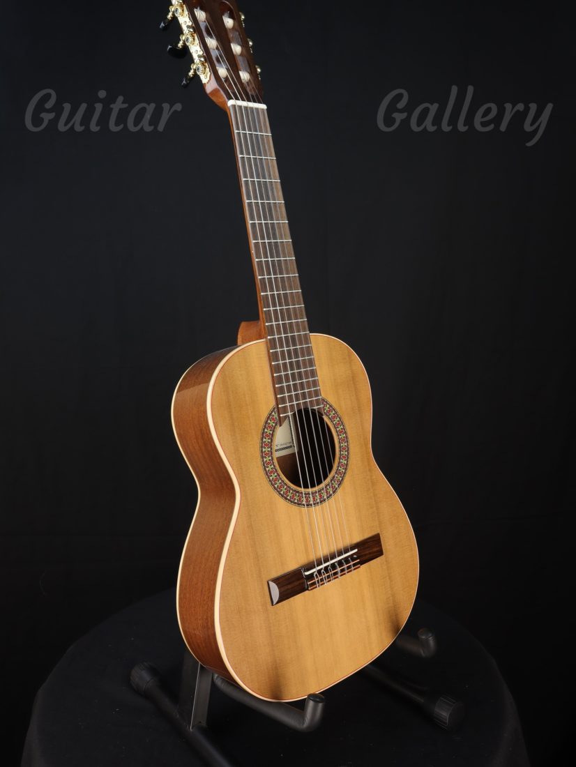 Altamira N100 Guitar Range | Guitar Gallery | Music Shop