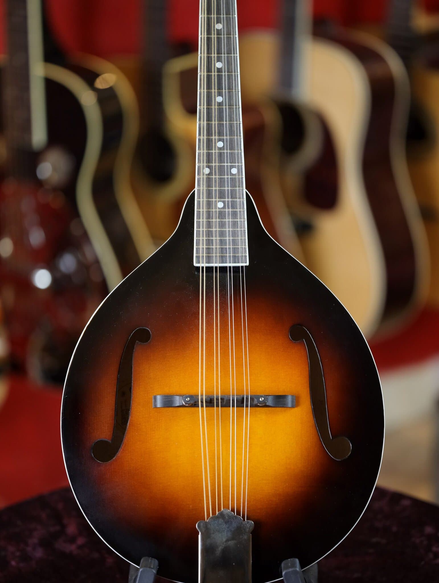 Rover RM-50 Mandolin | Guitar Gallery | Music Shop MELB
