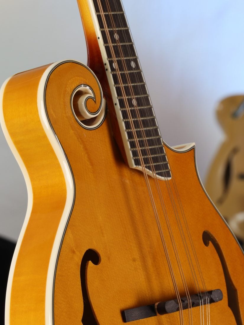 Rover RM-75 Mandolin | Guitar Gallery | Music Shop MELB