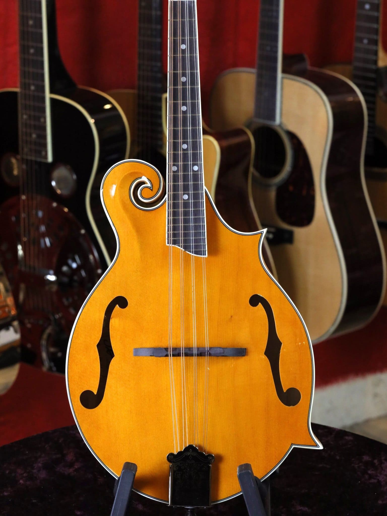 Rover RM-75 Mandolin | Guitar Gallery | Music Shop MELB