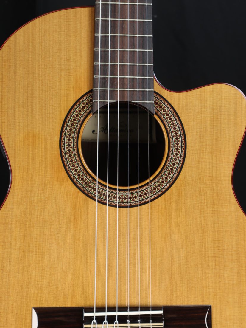 Altamira N300 Guitar Range | Guitar Gallery