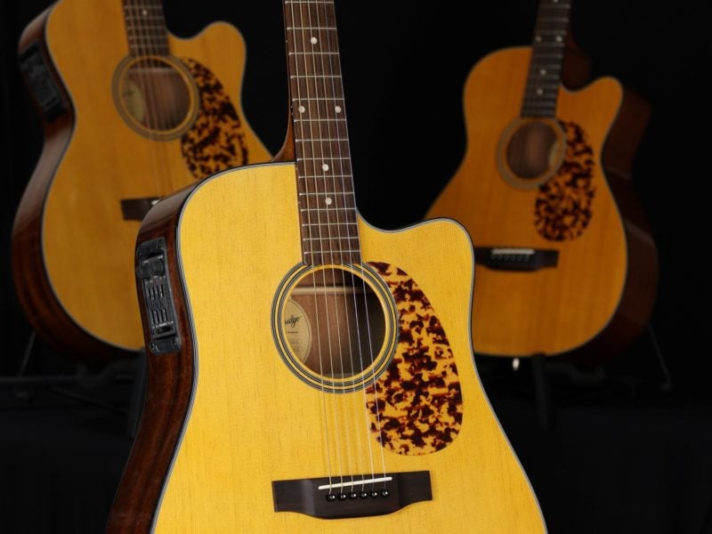 Blueridge | Guitar Gallery