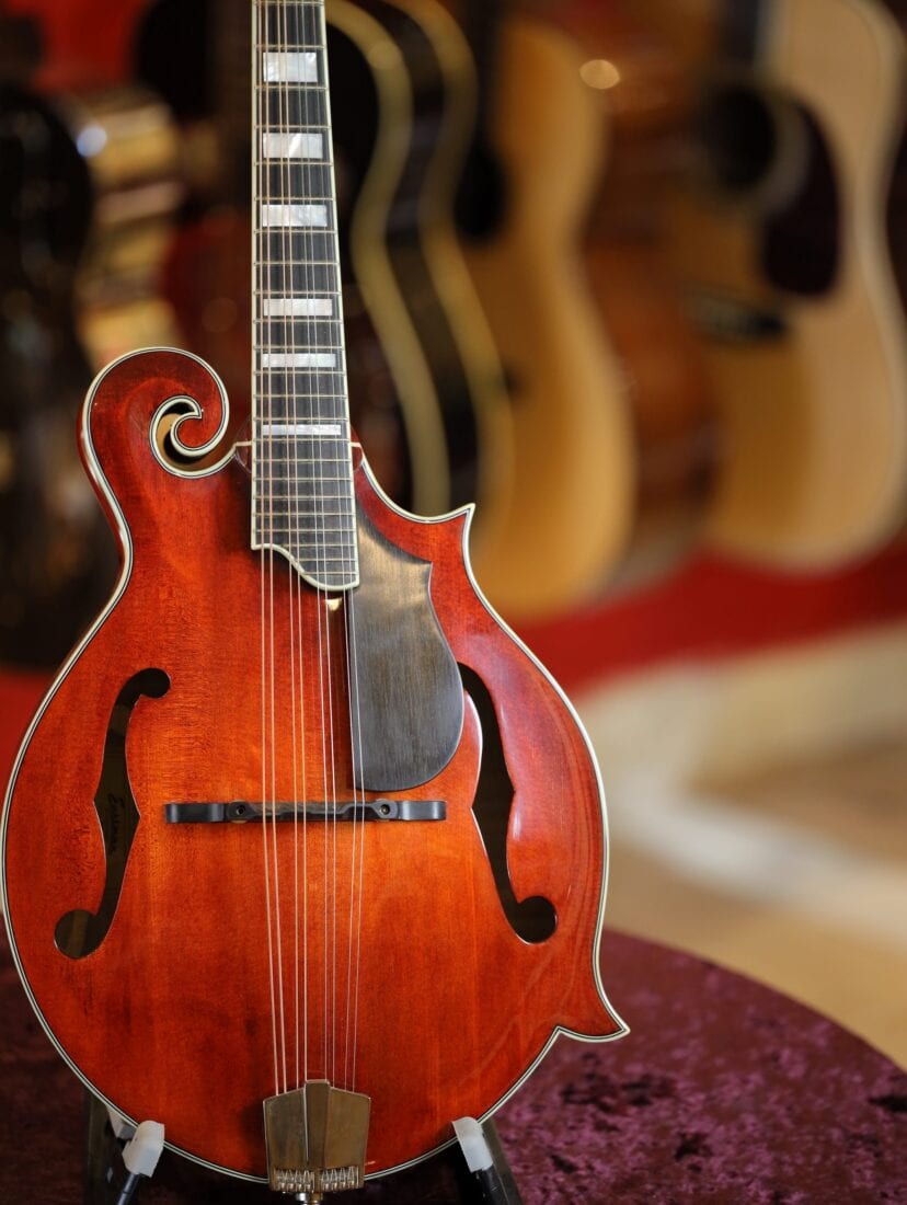 Eastman MD615 Mandolin Range | Guitar Gallery | Music Shop MELB.