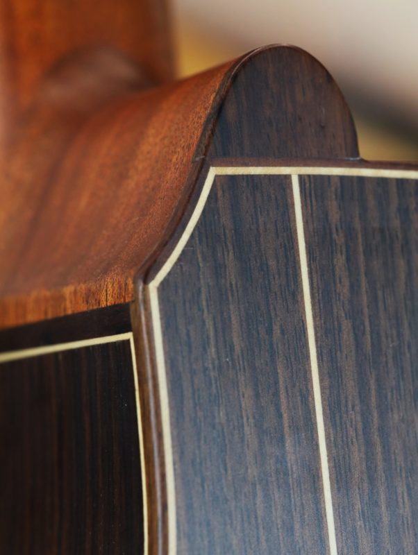 Altamira N300 Guitar Range | Guitar Gallery | Music Shop