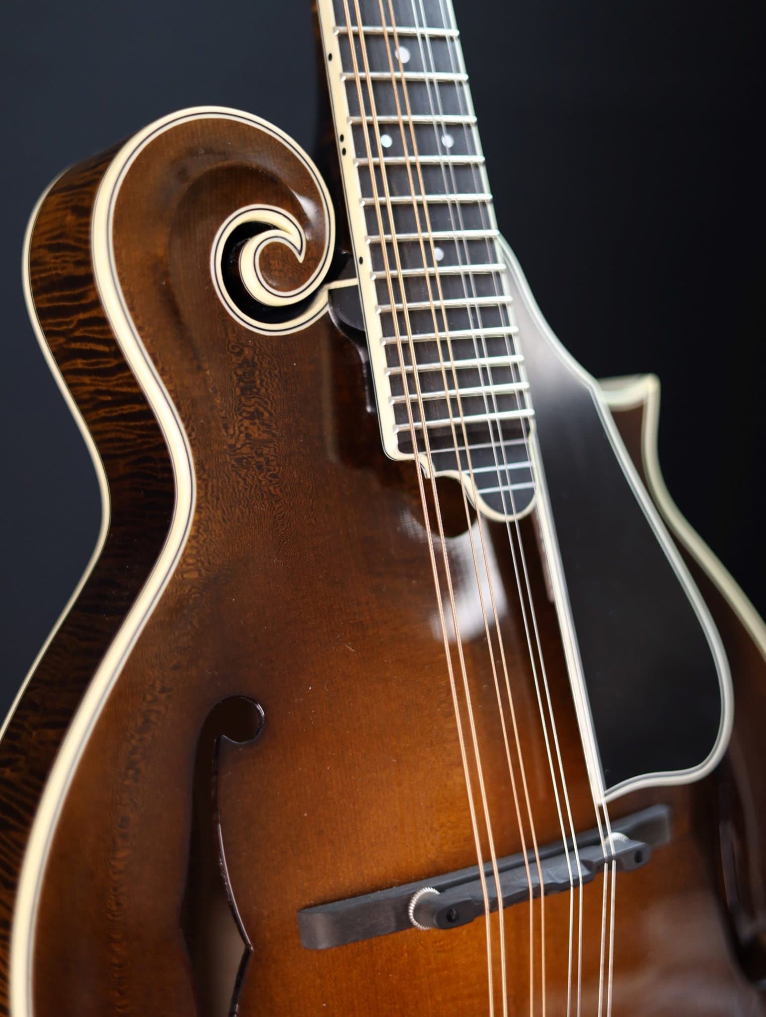 Northfield Artist Series Mandolin | Guitar Gallery | Music Shop MELB