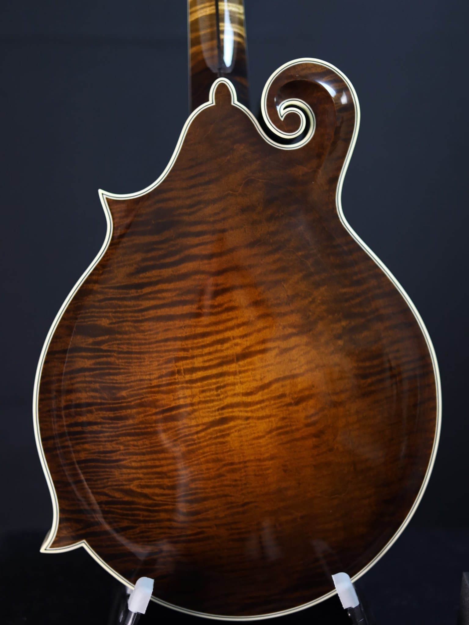 Northfield Artist Series Mandolin | Guitar Gallery | Music Shop MELB