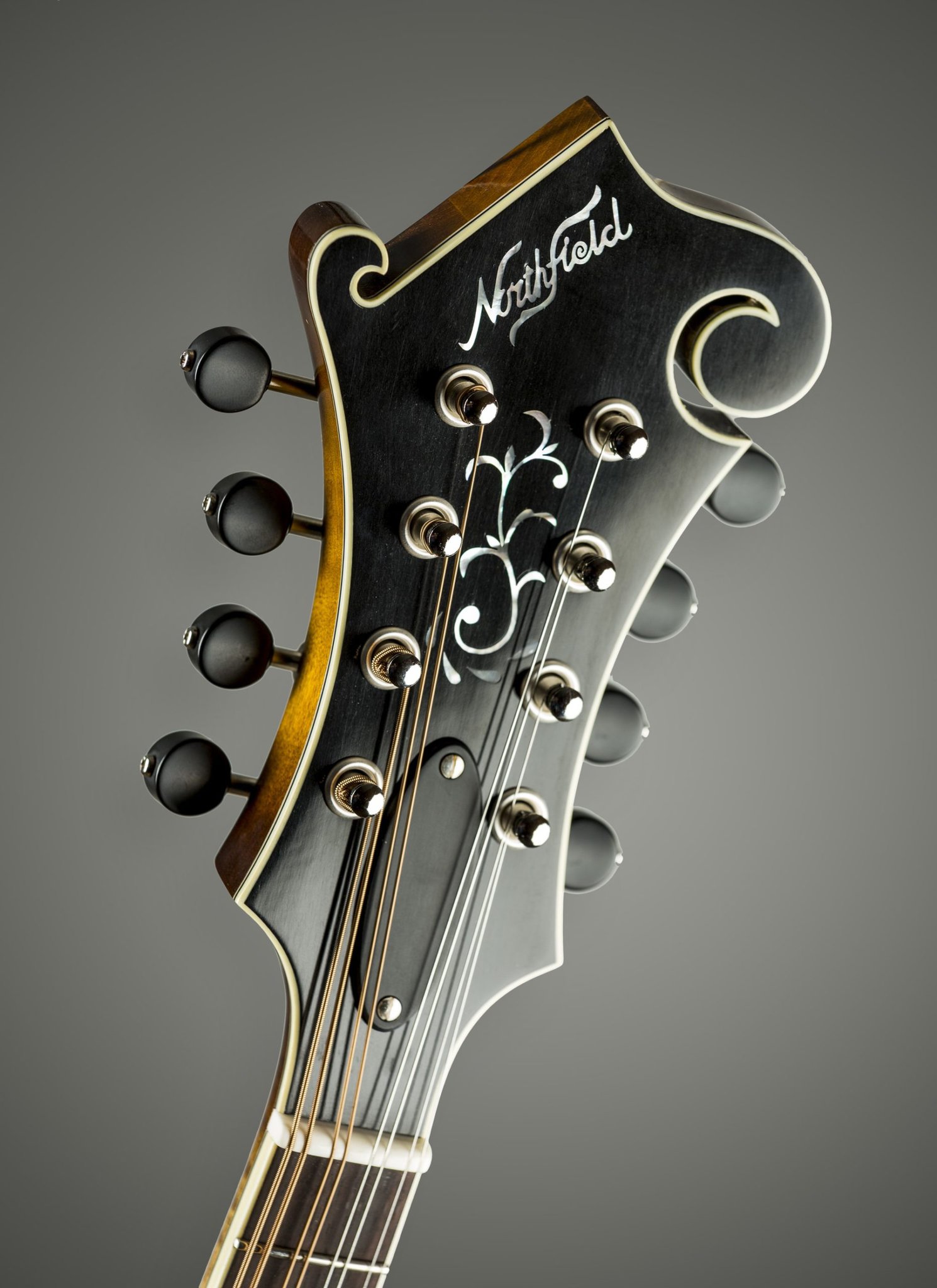 Northfield Big Mon Mandolin | Guitar Gallery | Music Shop MELB