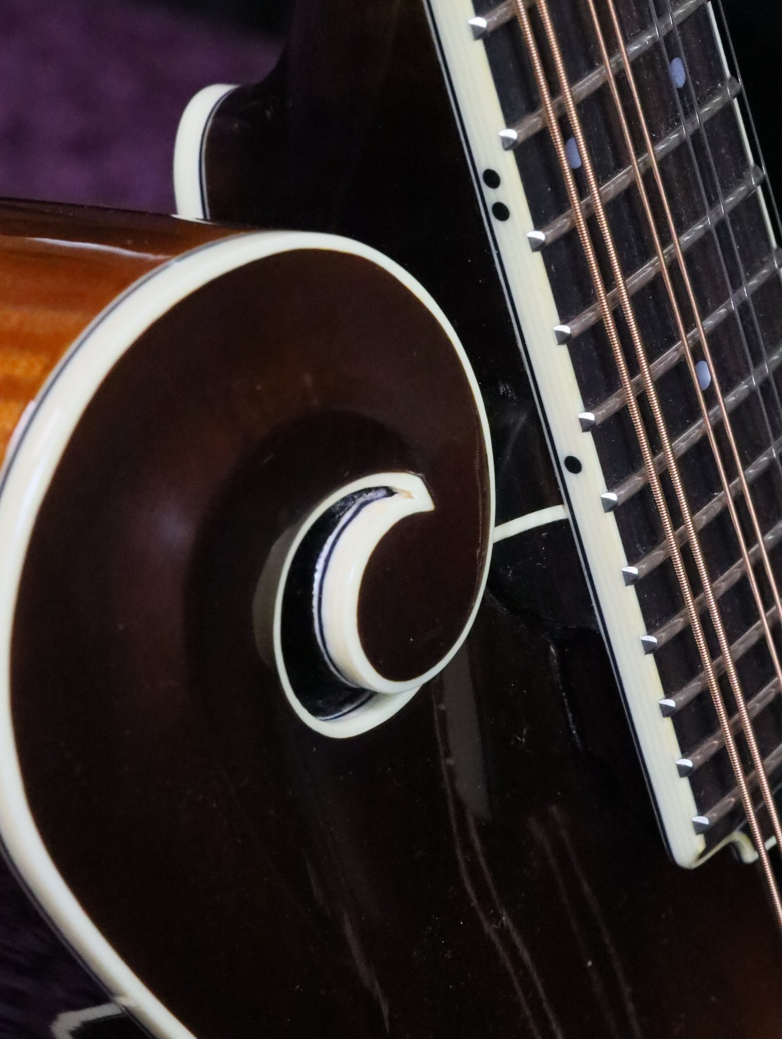 Northfield Big Mon Mandolin | Guitar Gallery | Music Shop MELB Northfield Big Mon Mandolin | Guitar Gallery | Music Shop MELB