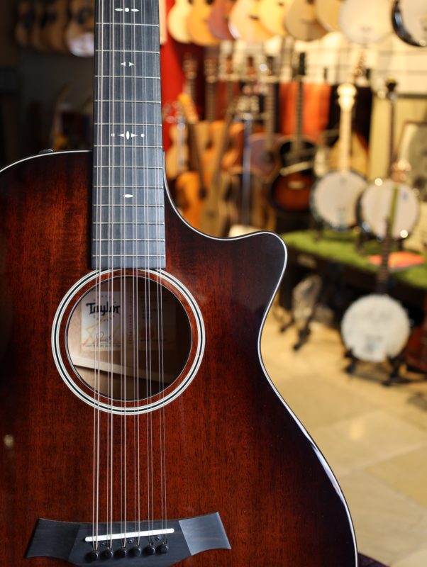 Taylor 562ce Guitar | Guitar Gallery | Music Shop MELB