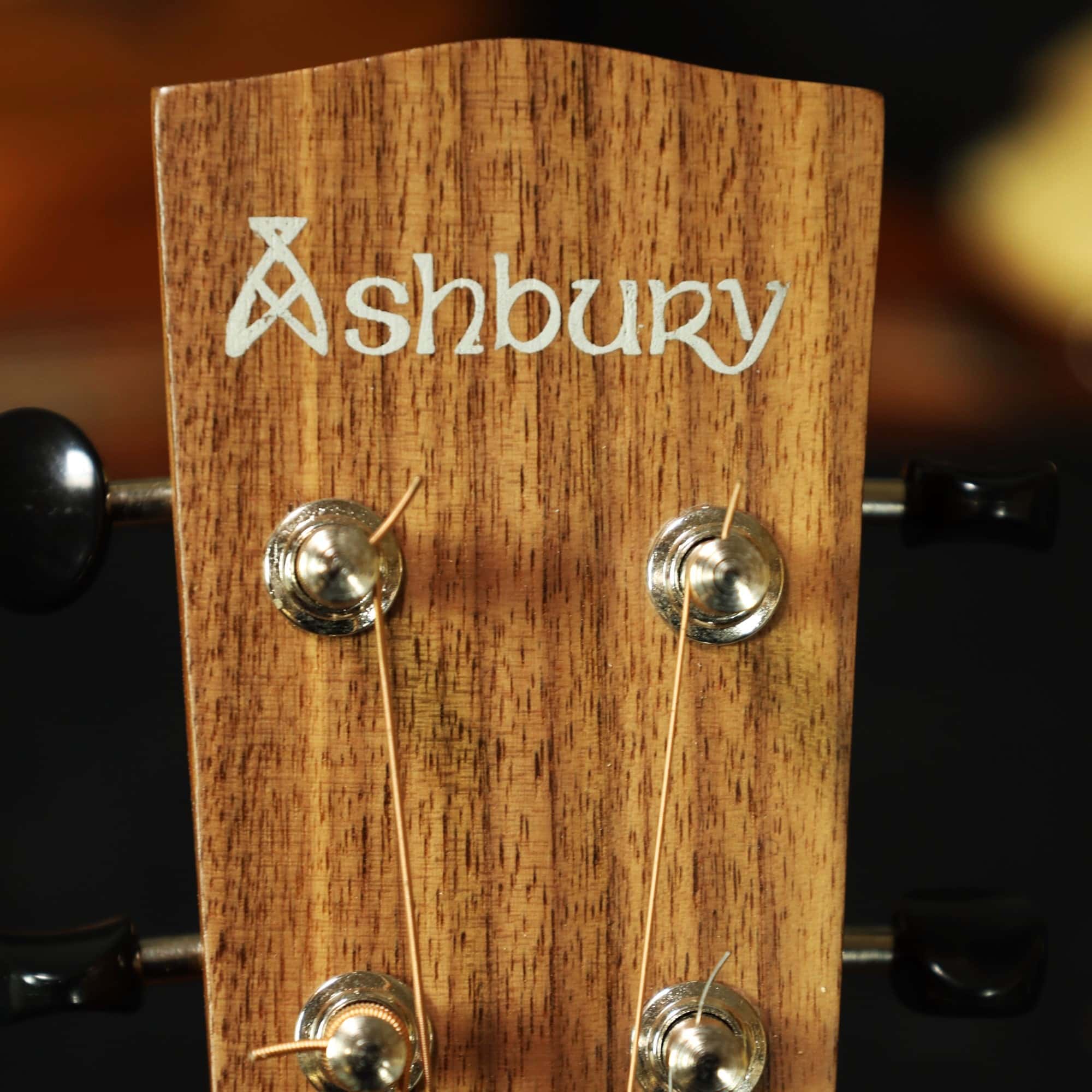 Ashbury | Guitar Gallery