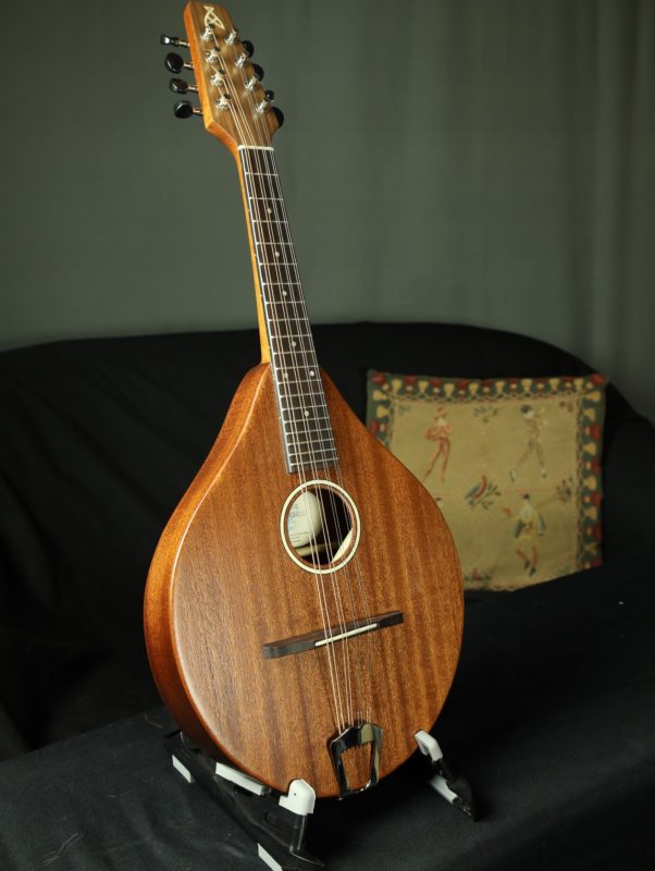 Ashbury AM Mandolin Range | Guitar Gallery | Music Shop MELB