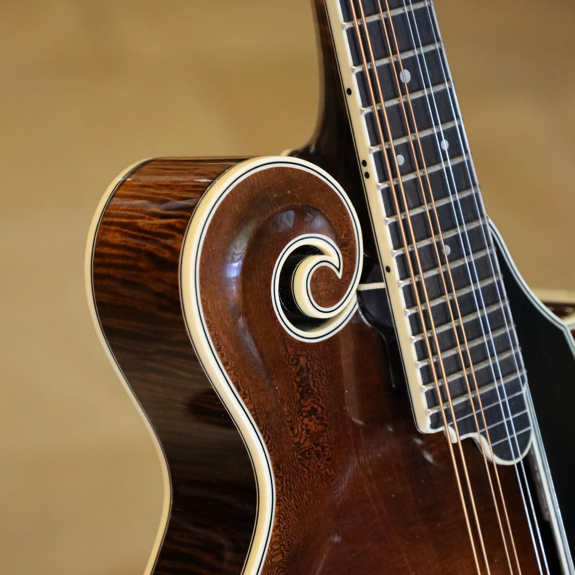 Northfield Artist Series Mandolin | Guitar Gallery | Music Shop MELB