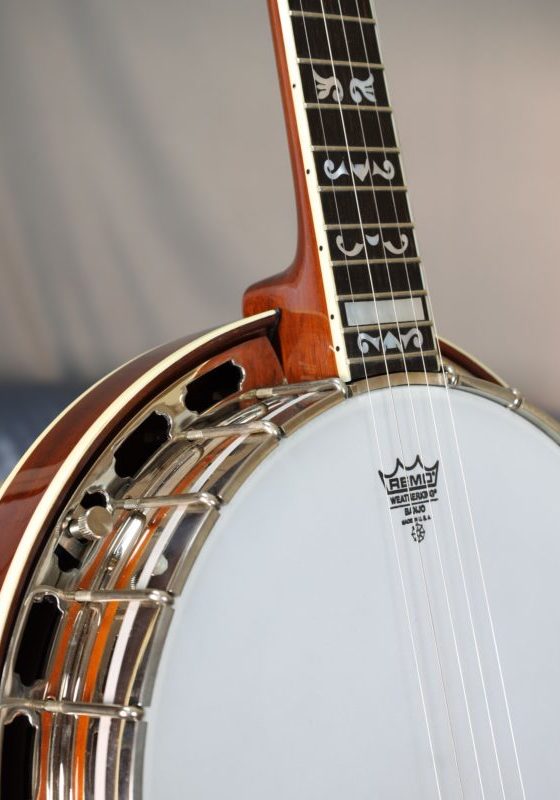 Taylor 412e-R Guitar | Guitar Gallery | Music Shop MELB