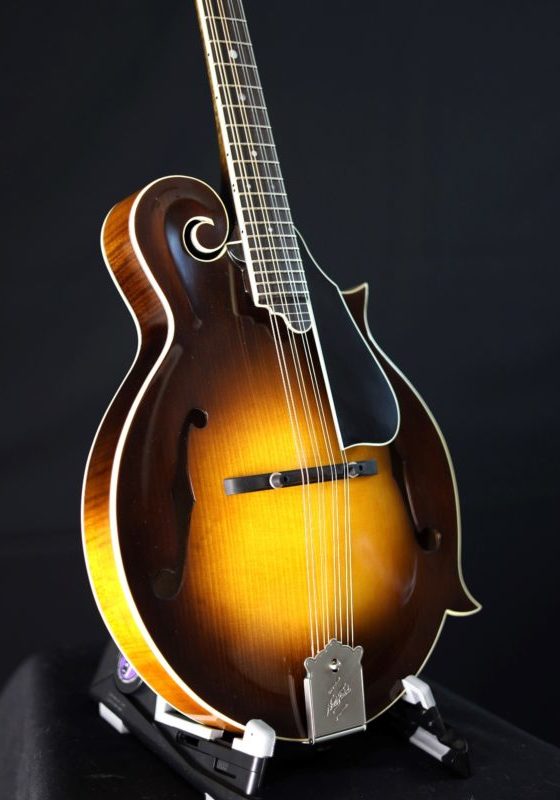 Guitar Gallery