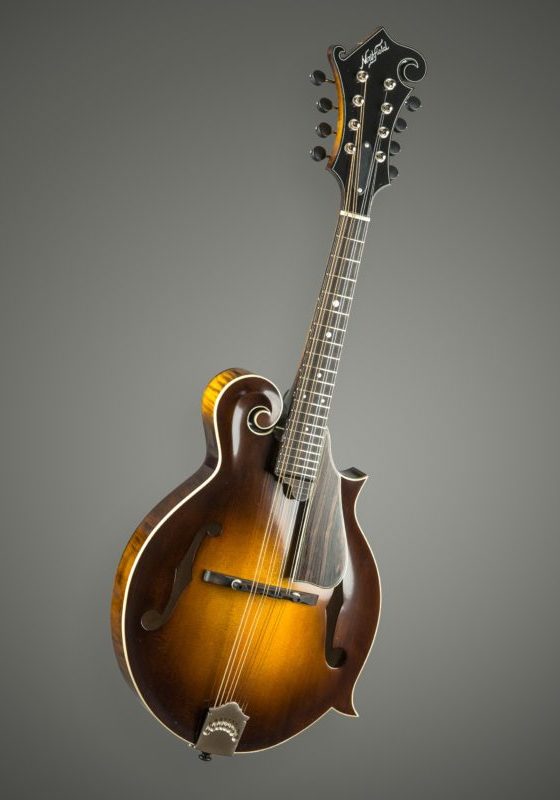 Trinity College TM-375 Irish Bouzouki | Guitar Gallery | Music Shop MELB